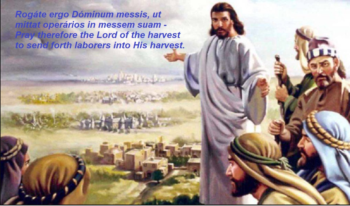 ORARI S.MESSA/TIMETABLE HOLY MASS ONLINE – Rogáte ergo Dóminum messis ...