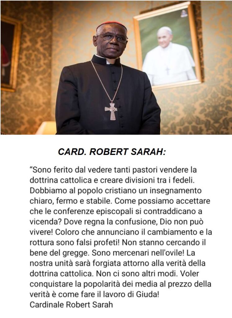 LA RISPOSTA ALLA DICHIARAZIONE DEL CARDINALE SARAH – Revelation Virgo